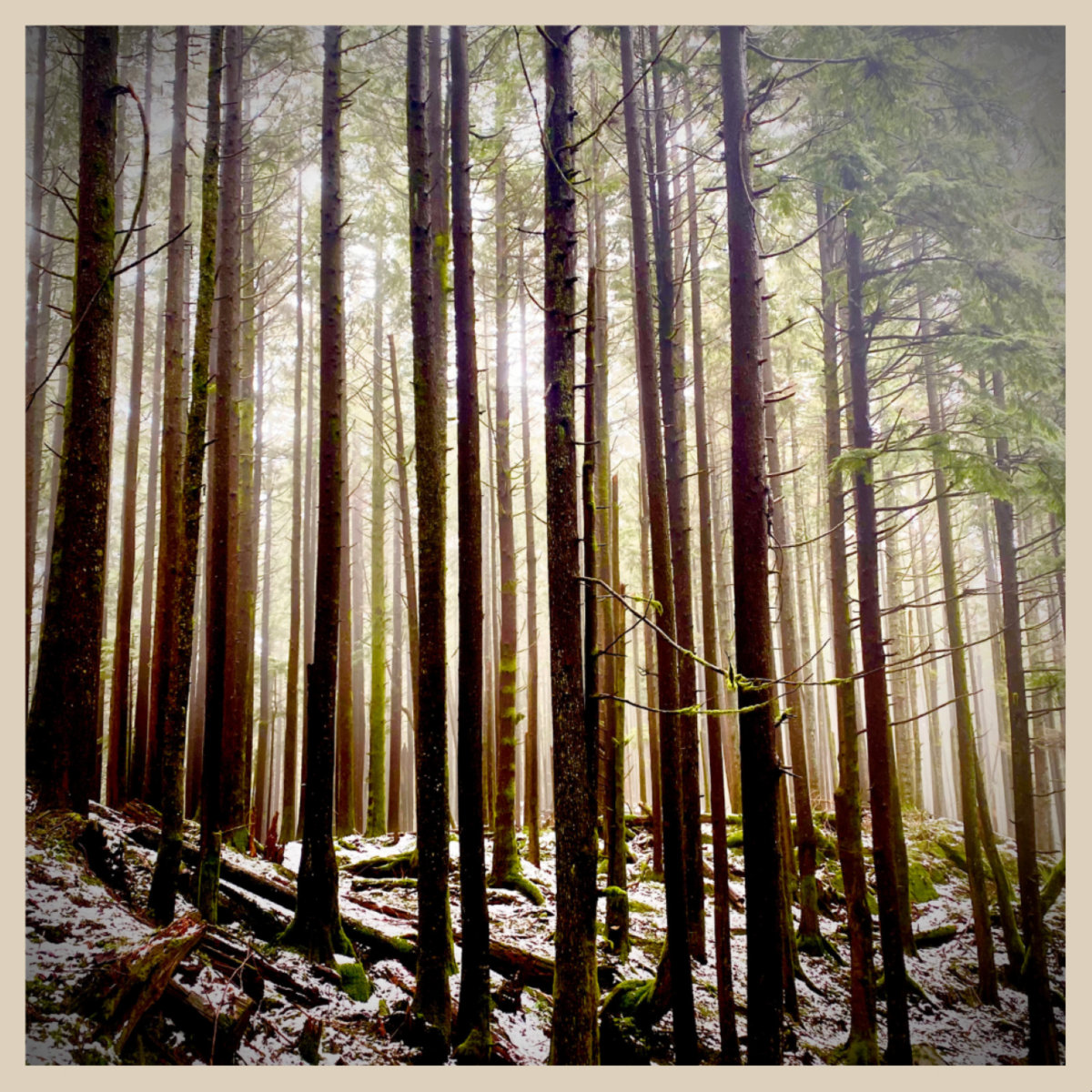 Rolling Thunder | Mountain Holler