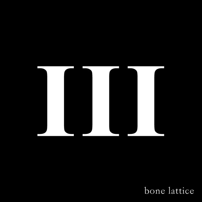 iii | Bone Lattice