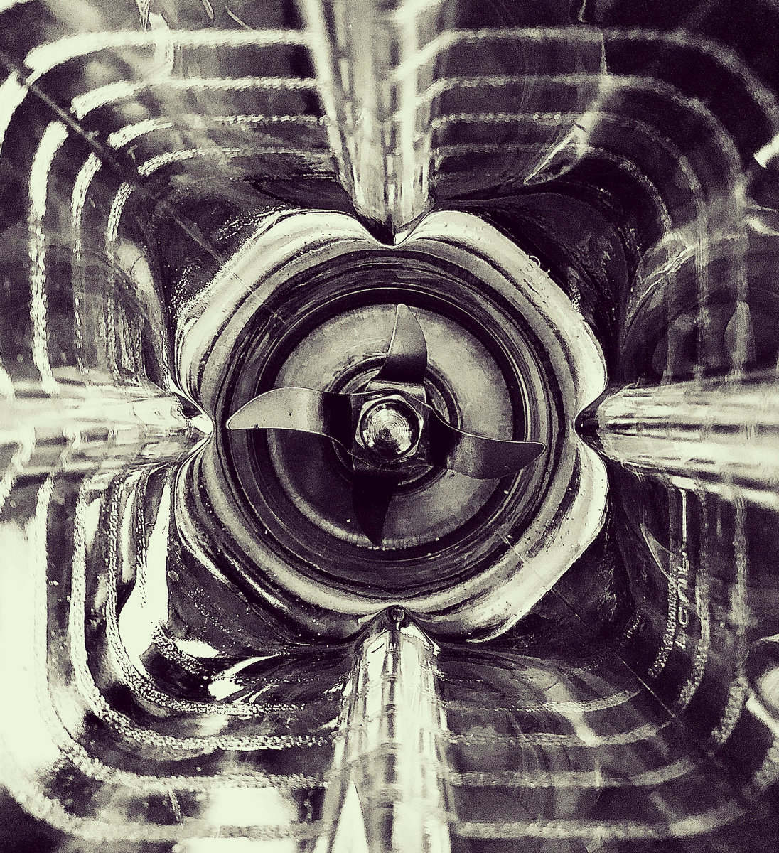 Obverse Suspensions | Pholde