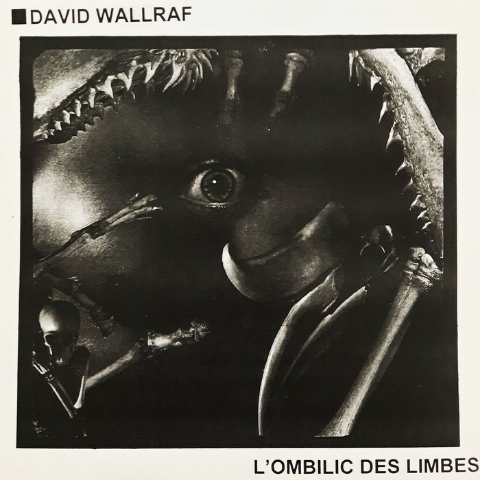 L'Ombilic des Limbes | david wallraf