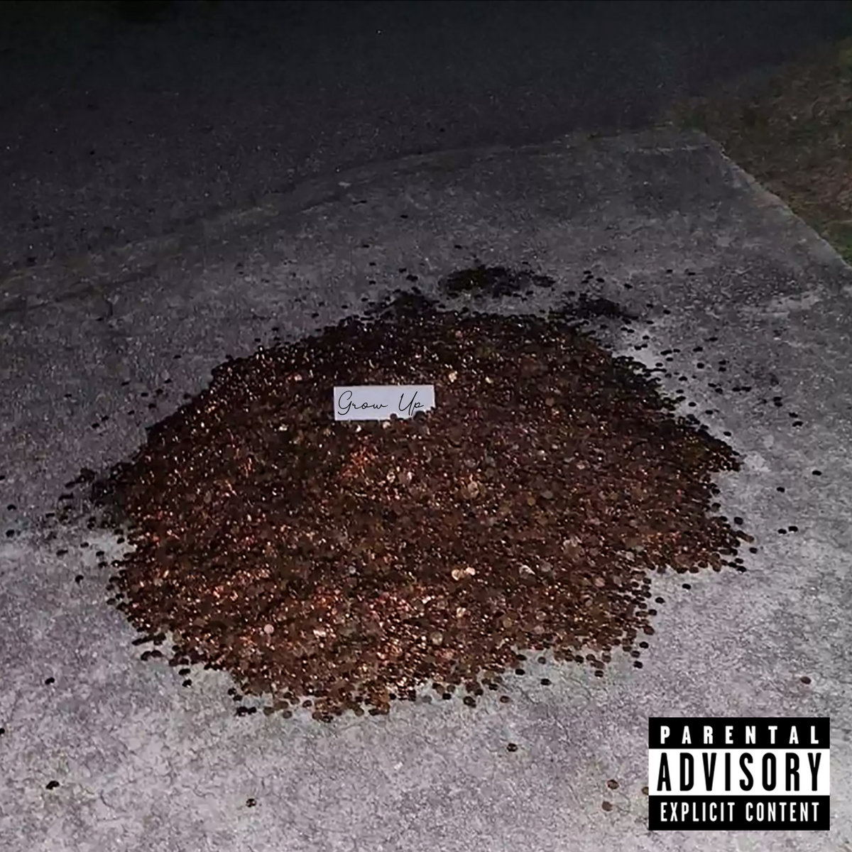 Grow Up (Prod. by Benji Socrate$) | STACK SKRILLA