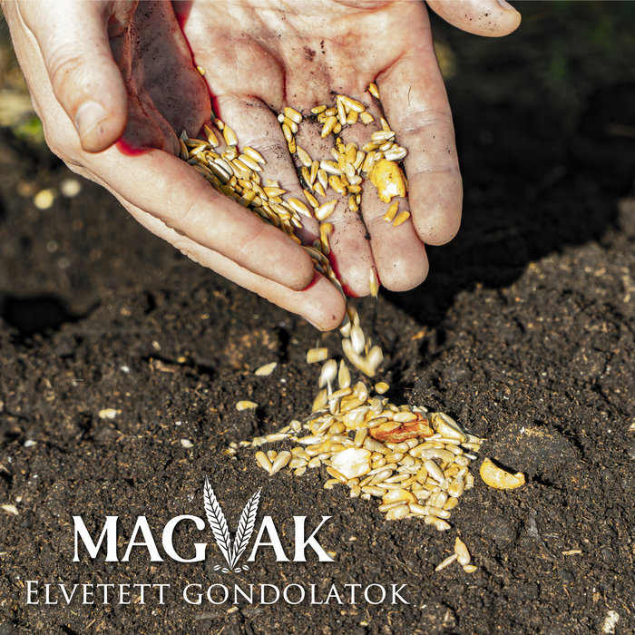 Elvetett Gondolatok | Magvak