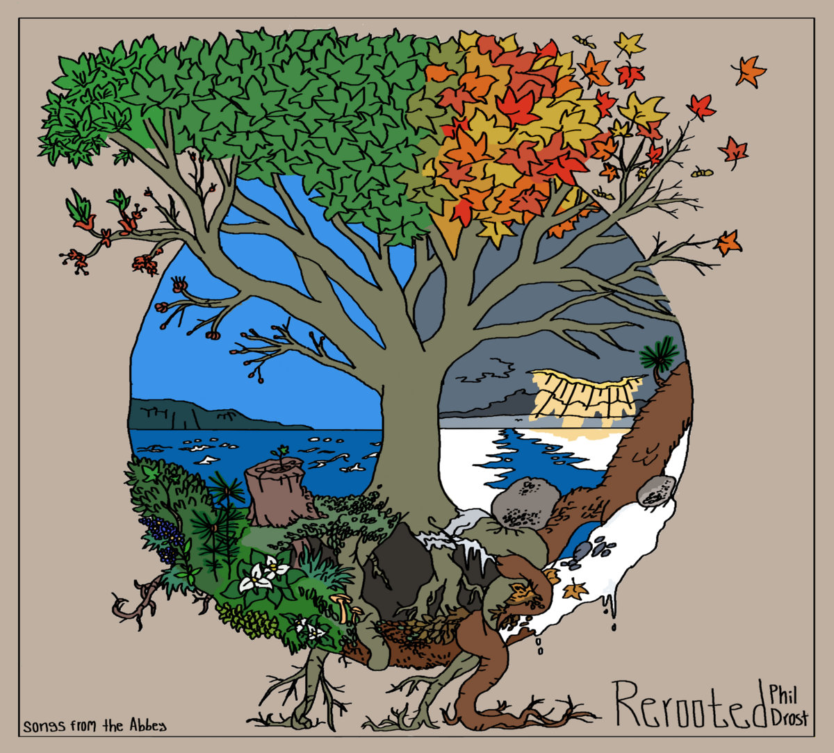 Rerooted | Phil Drost