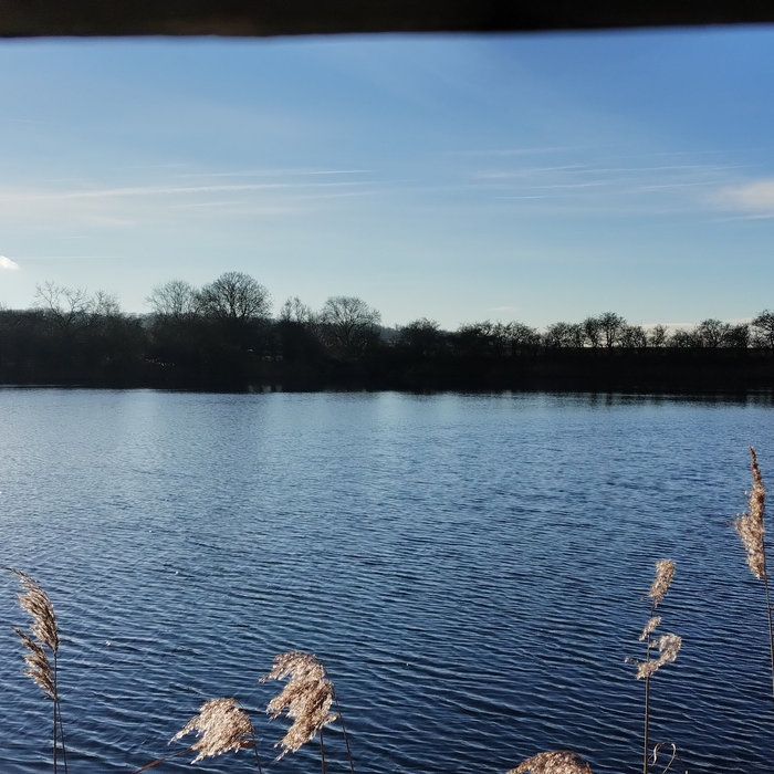 Excerpt 3 | Tim Cross