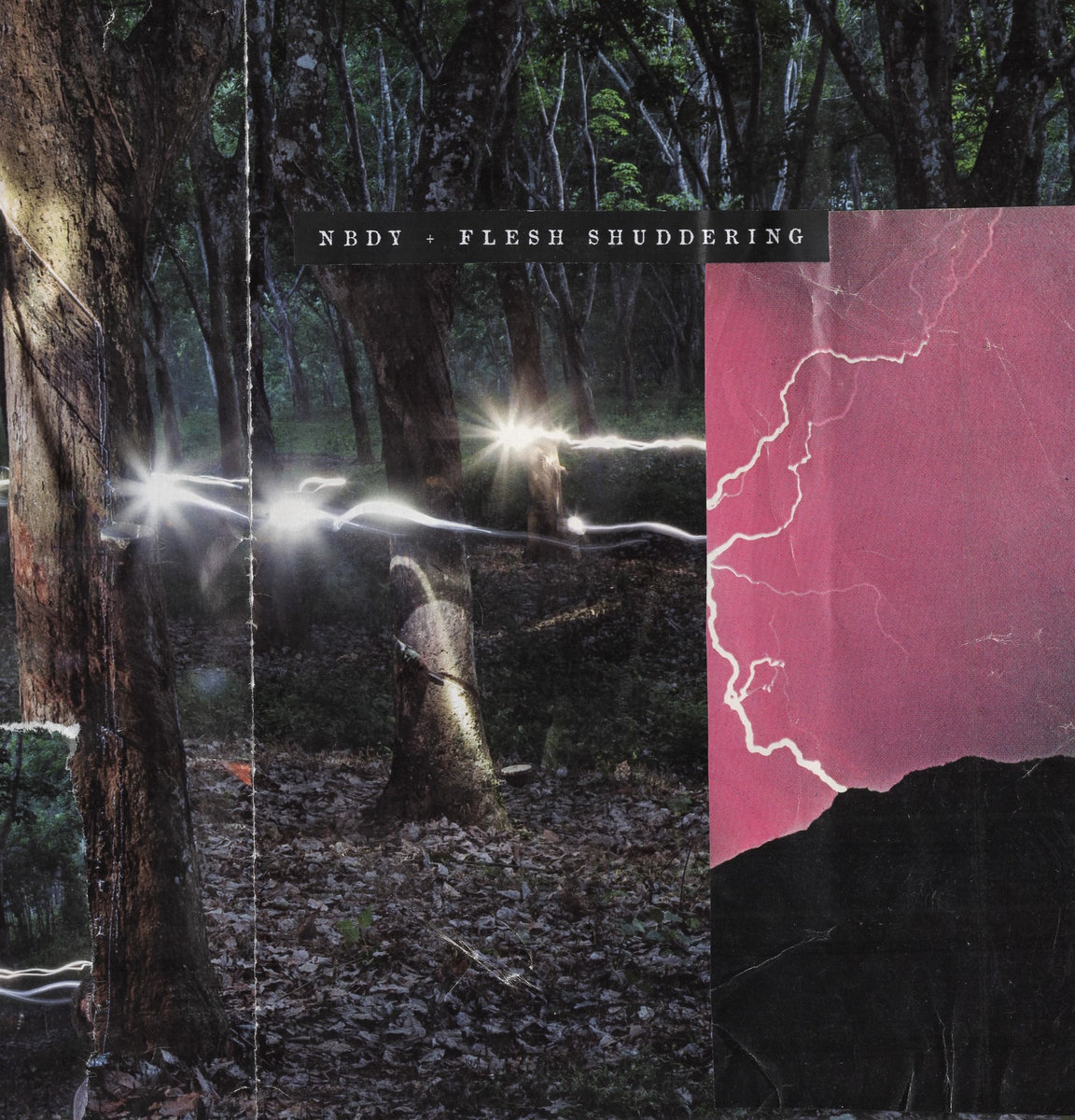 Electric Reforestation | NBDY + Flesh Shuddering | Flesh Shuddering