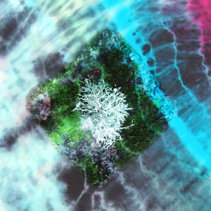 Star Valley | Stag Hare | Heligator Records