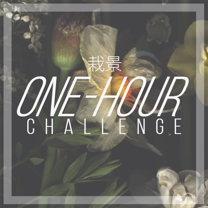One-Hour Challenge | saikei collective
