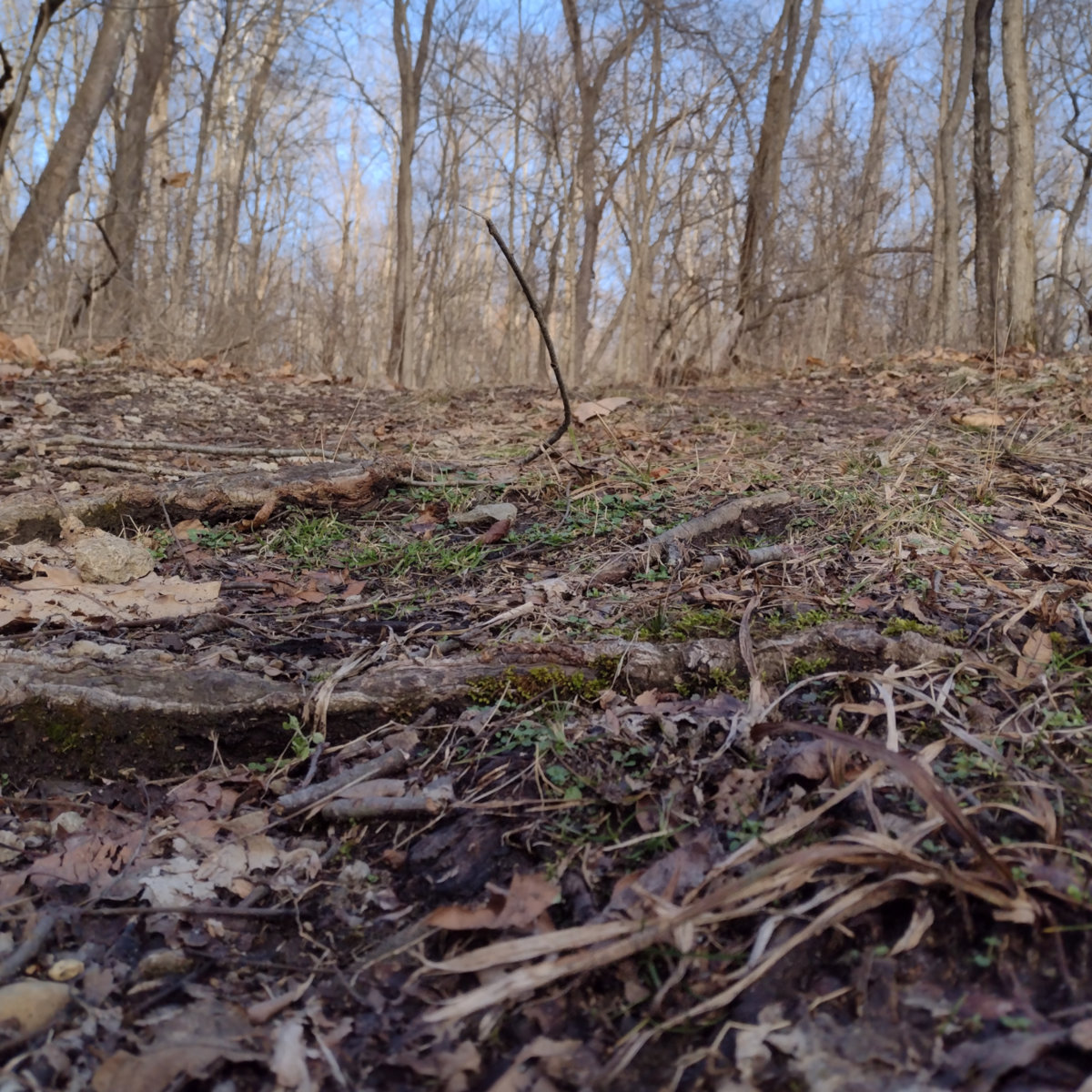 According to Thy Word | Greg Pacleb