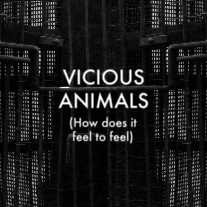 How Does It Feel To Feel | Vicious Animals
