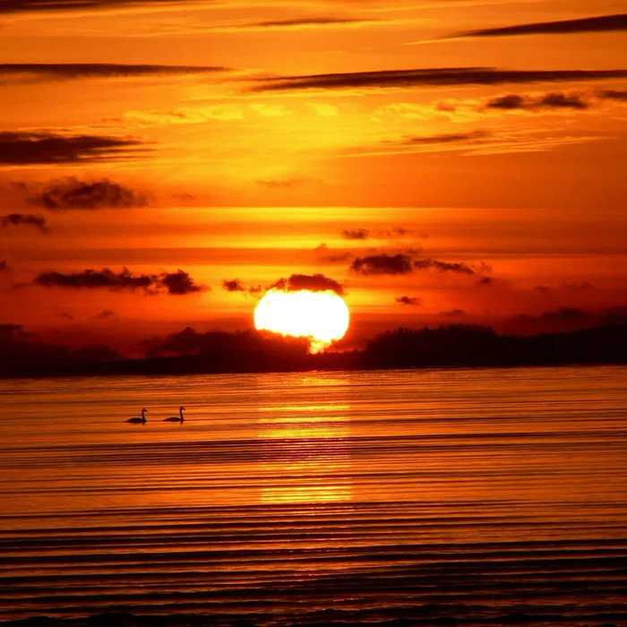 Kontor∶ Sunset Chill, Volume 4 | Sunset Chill