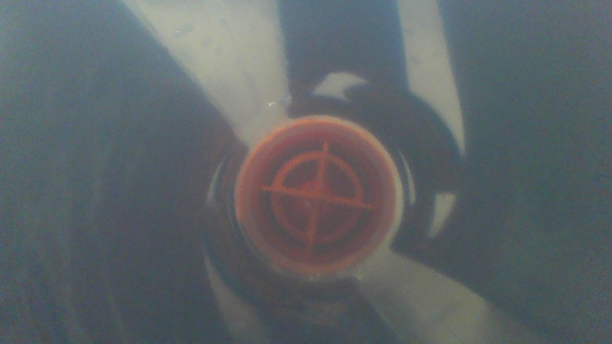 George Wash Album | Phasago