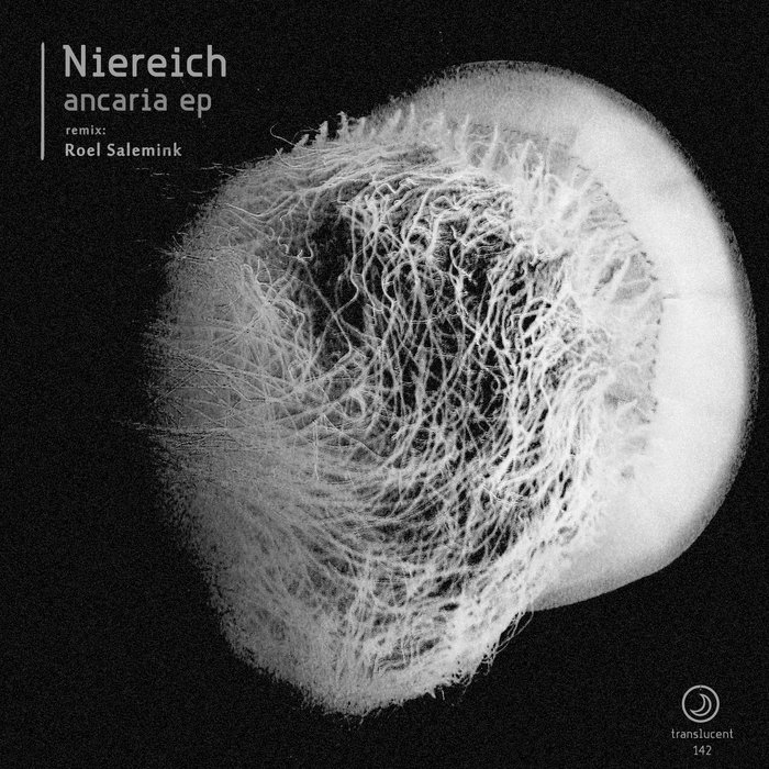 Ancaria EP | Niereich | Translucent