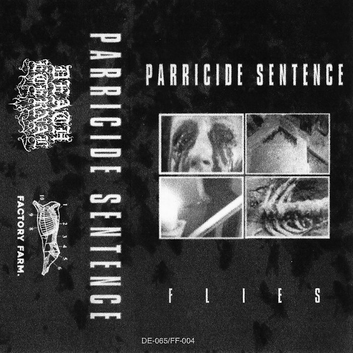 FLIES | Parricide Sentence | Factory Farm.