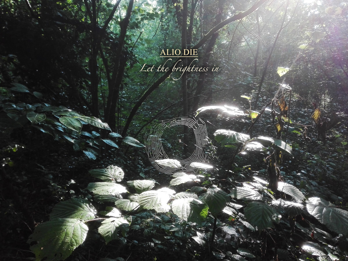 Let the brightness in | ALIO DIE