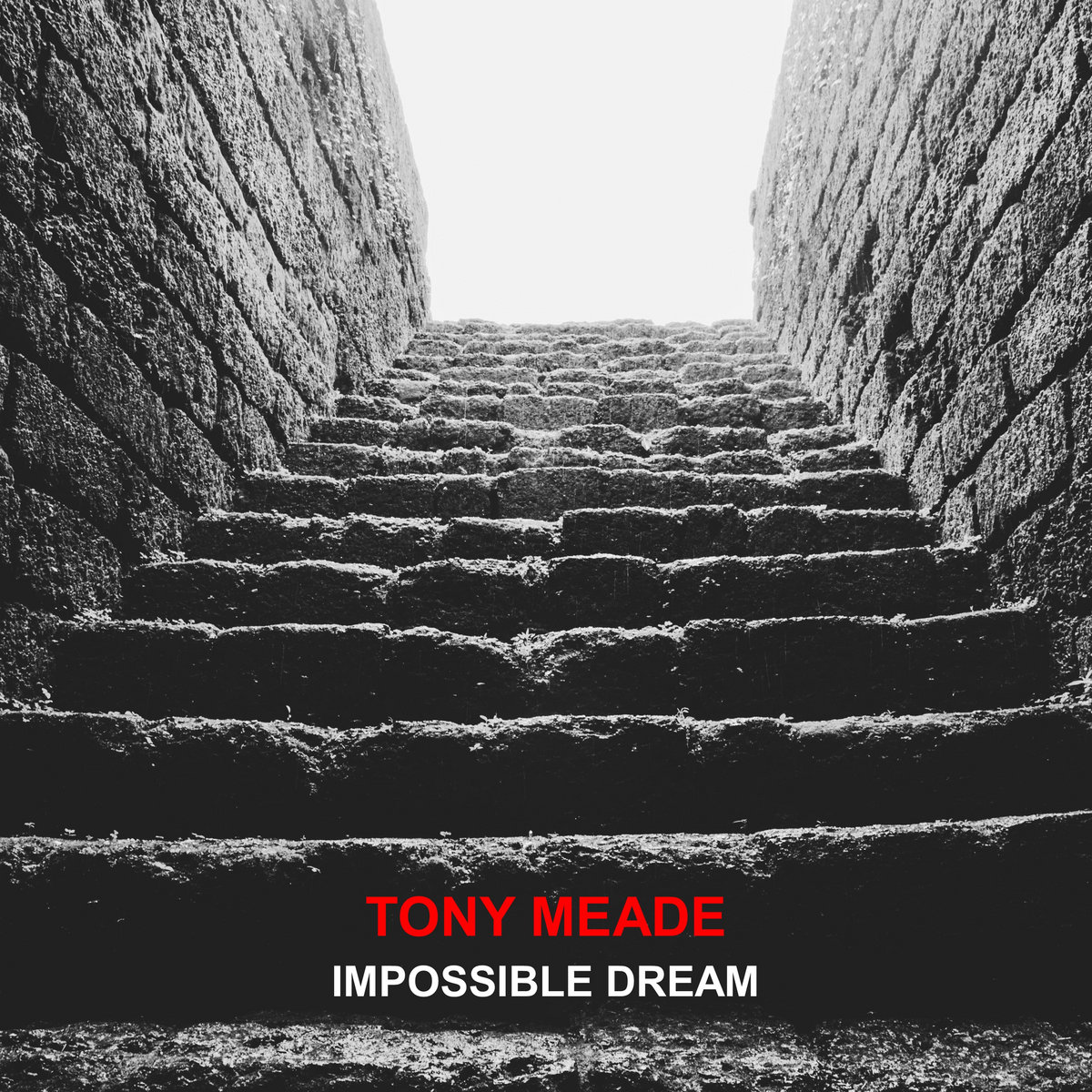 Impossible Dream | Tony Meade