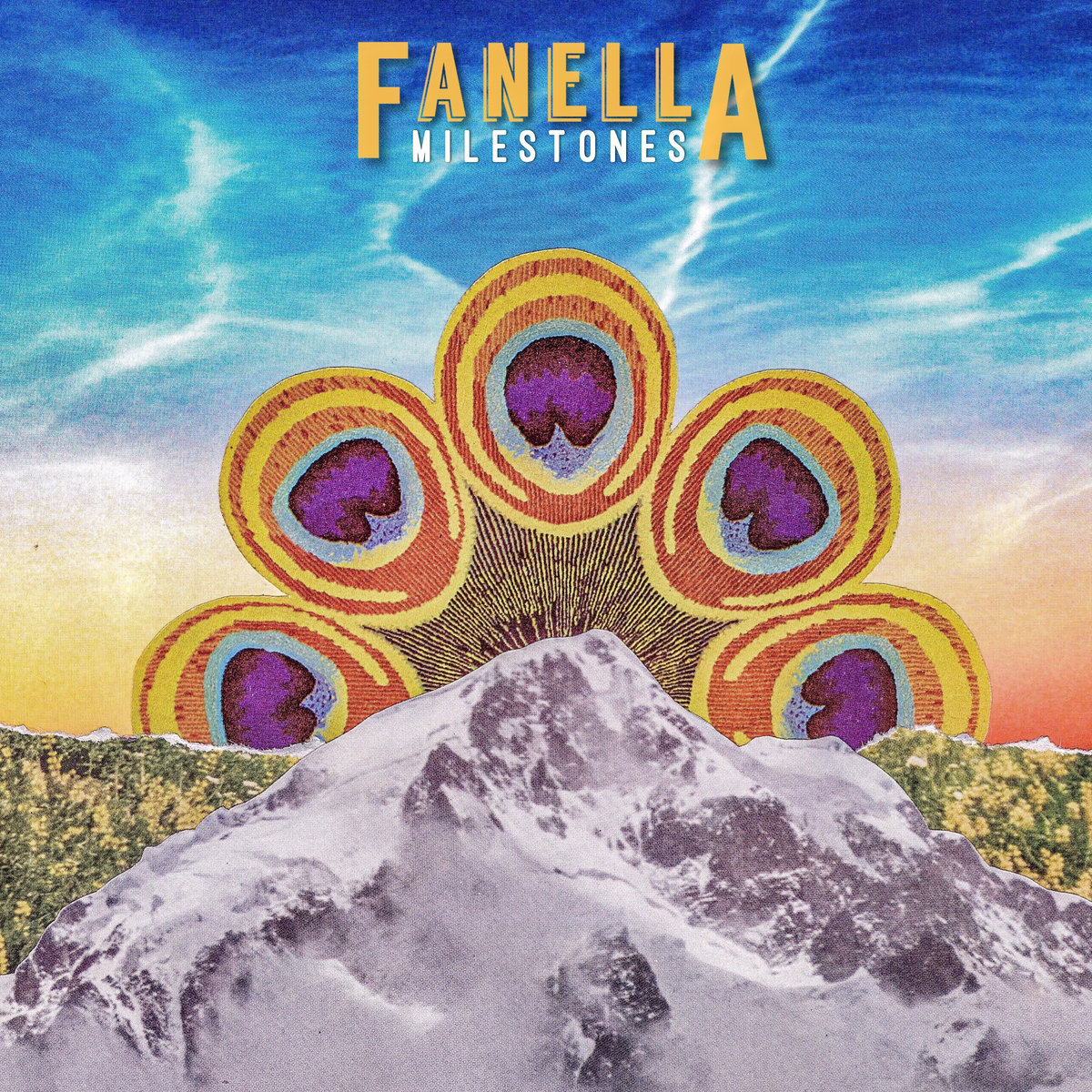 Turn Around | Fanella