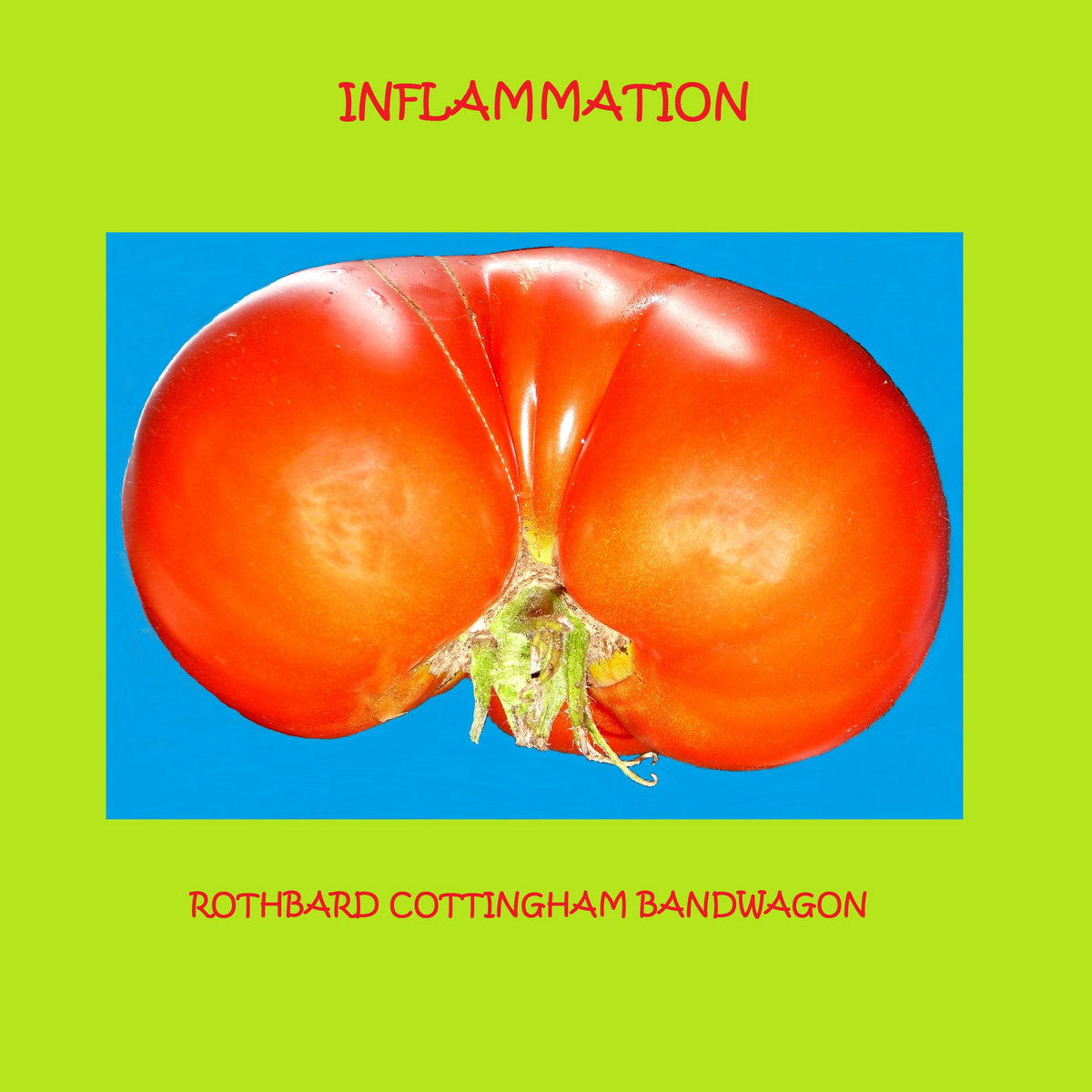INFLAMMATION | Rothbard Cottingham Bandwagon | Robert Rothbard