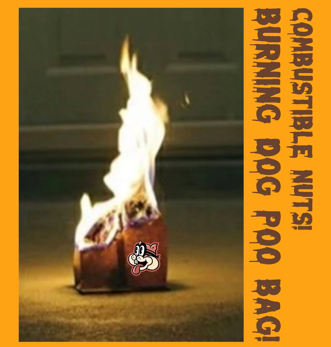 BURNING DOG POO BAG! | Combustible Nuts!