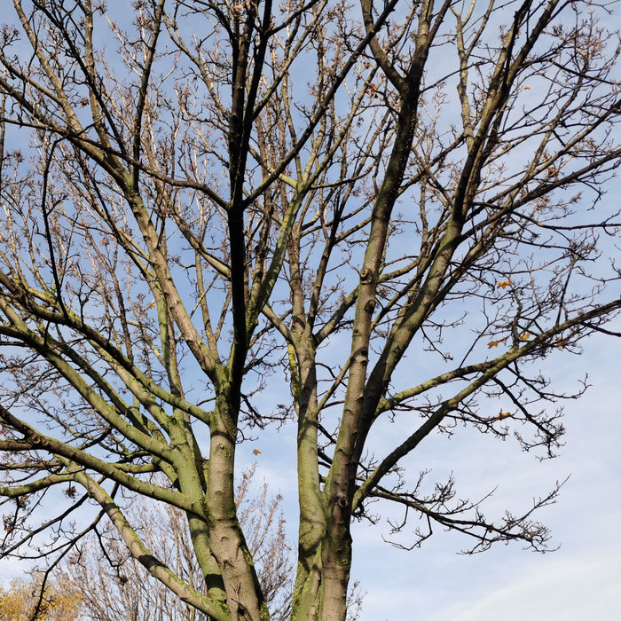 b2 (sample pack) | hc189x