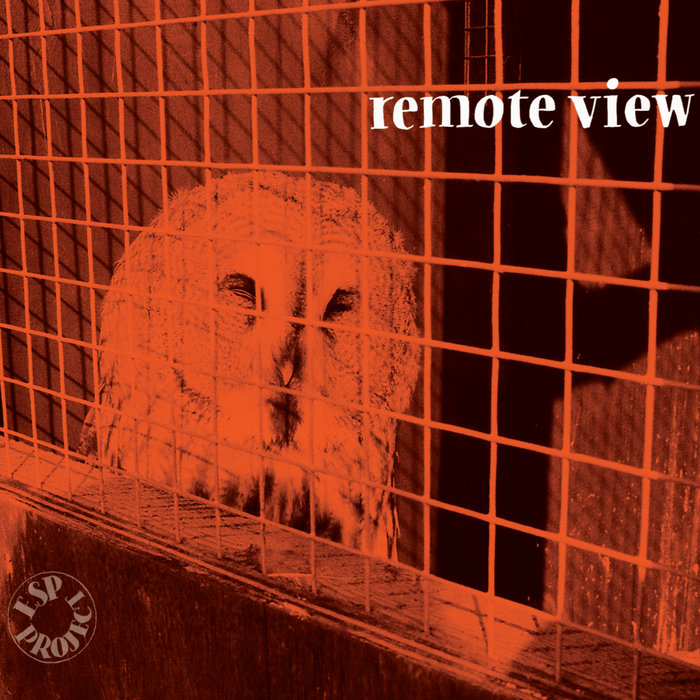 Remote View | ESP Project