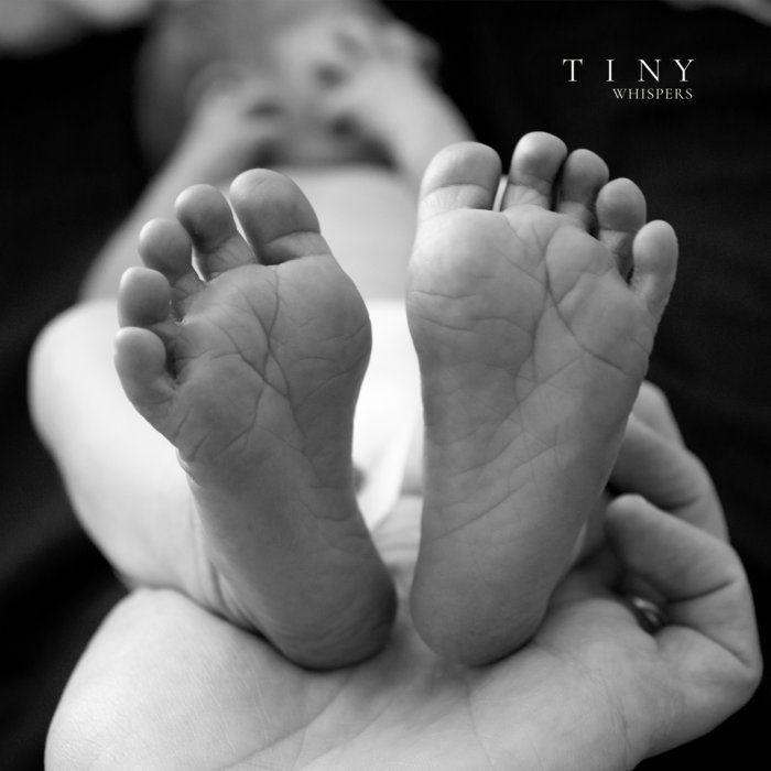 Tiny Whispers | Galapaghost