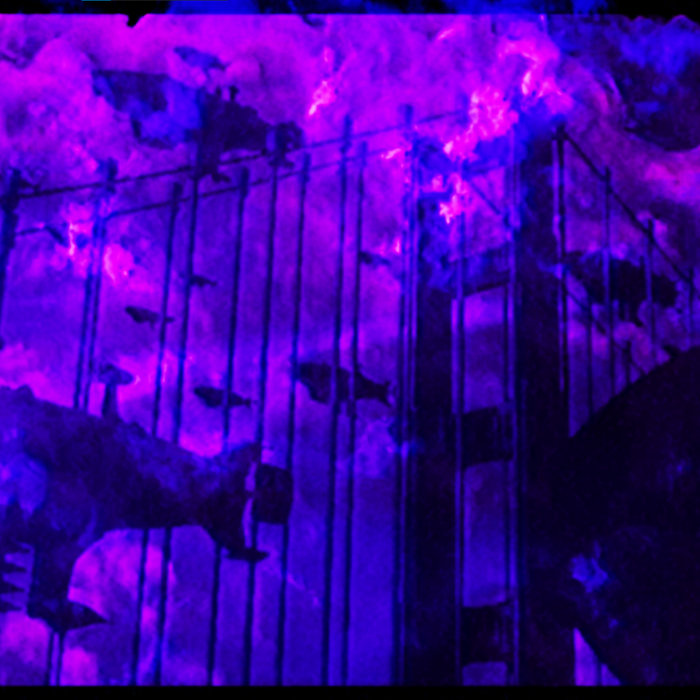 King Collateral | Riikira | CreatureCore