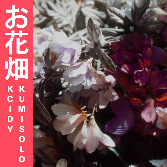 Ohana Bataké | KCIDY