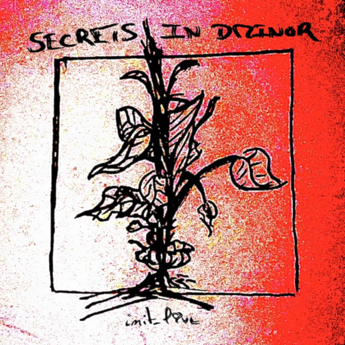 Secrets In Dminor | init_l0ve