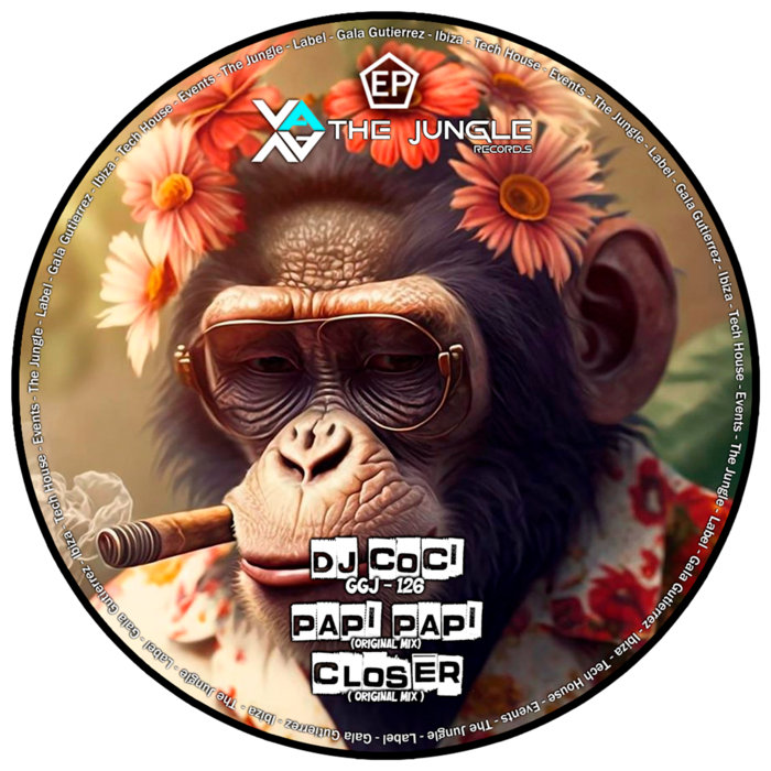 Vibes | The Jungle Records