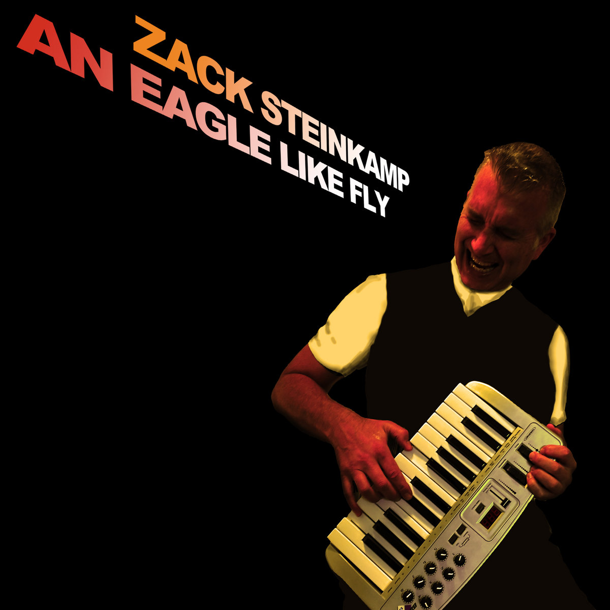 An Eagle Like Fly | Zack Steinkamp