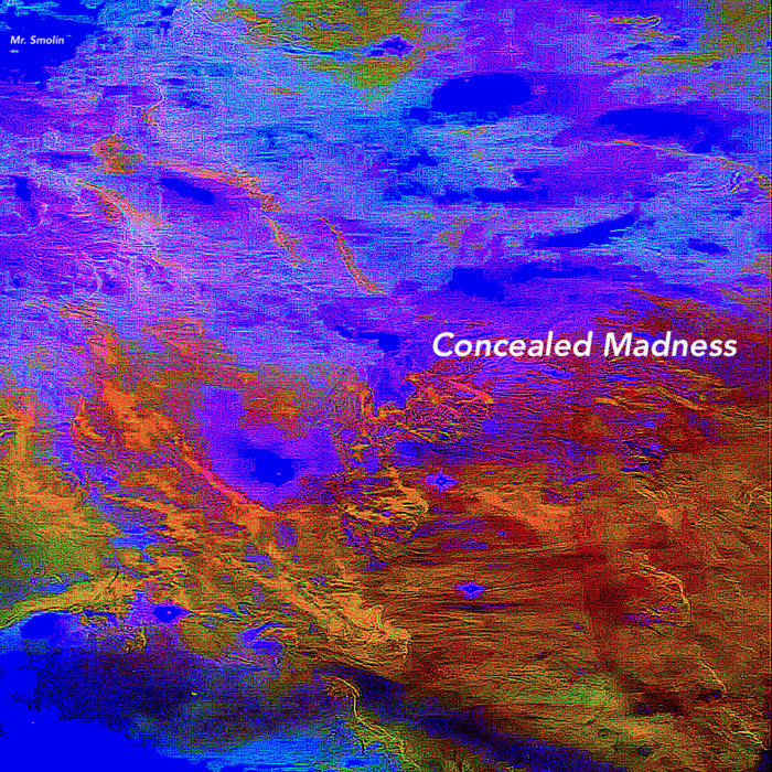 Concealed Madness | Mr. Smolin