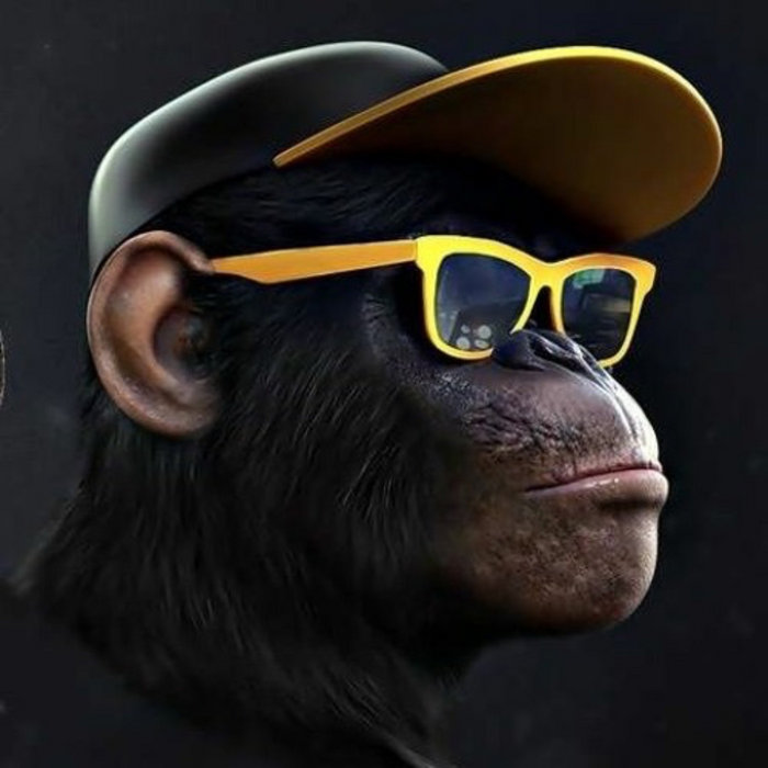 monkey rap | Explorers of the Internet