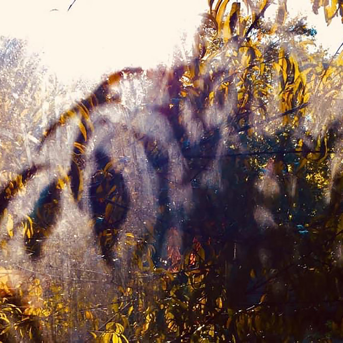 Transitional Spirit Mirror | Future Museums | Aural Canyon