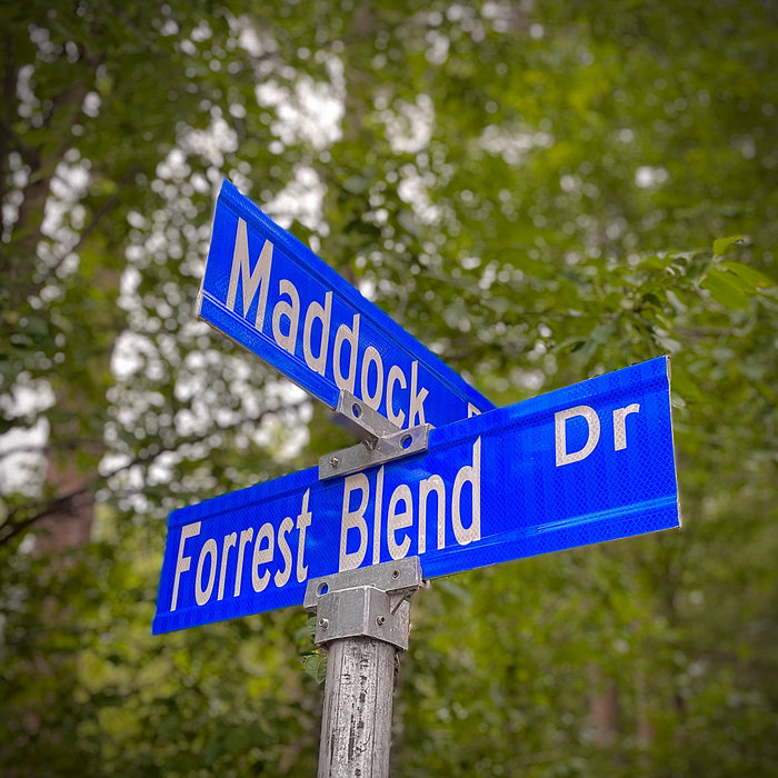 Forrest Blend | Forrest Blend