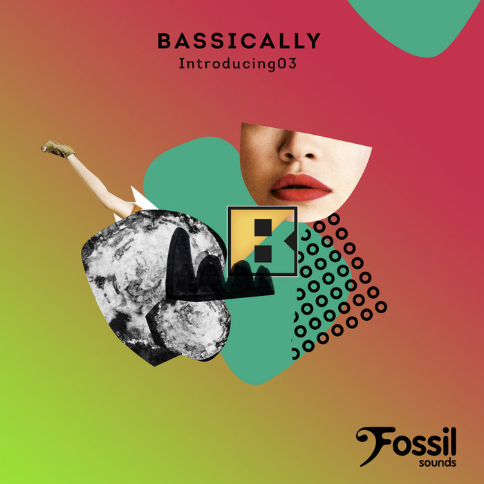 Introducing 03 | Bassically