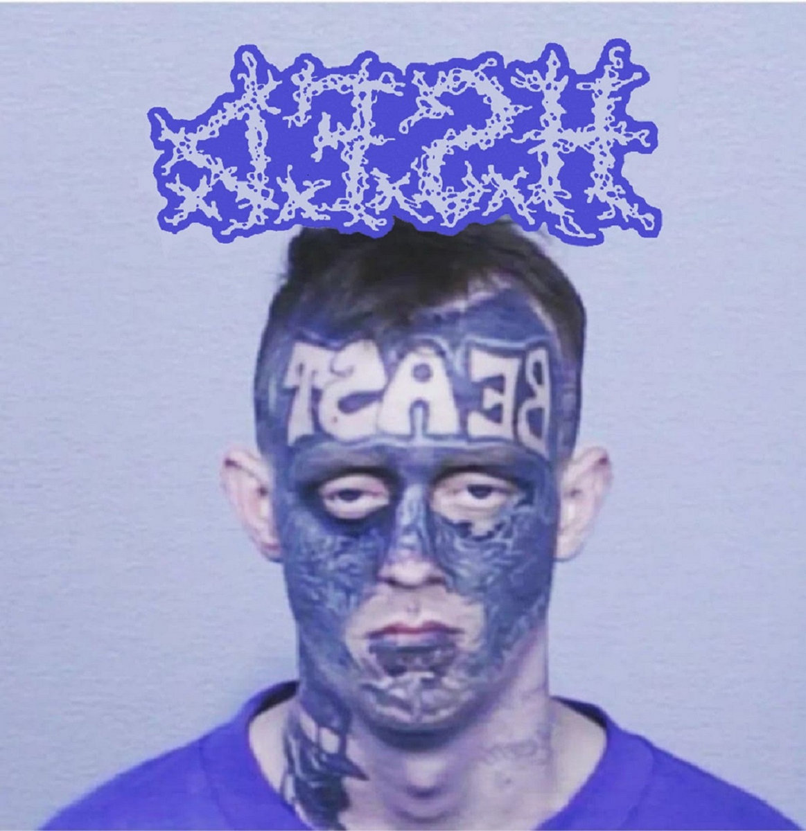 Shitluck | HxSxFxD | Tathātā Tourist