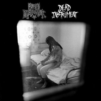 METH DRINKER / DEAD INSTRUMENT split 7''EP | Drop Out