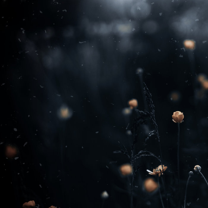 Amber Bud | Lednik Frontier