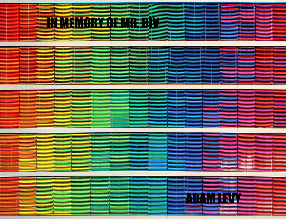In Memory of Mr. Biv | Adam Levy