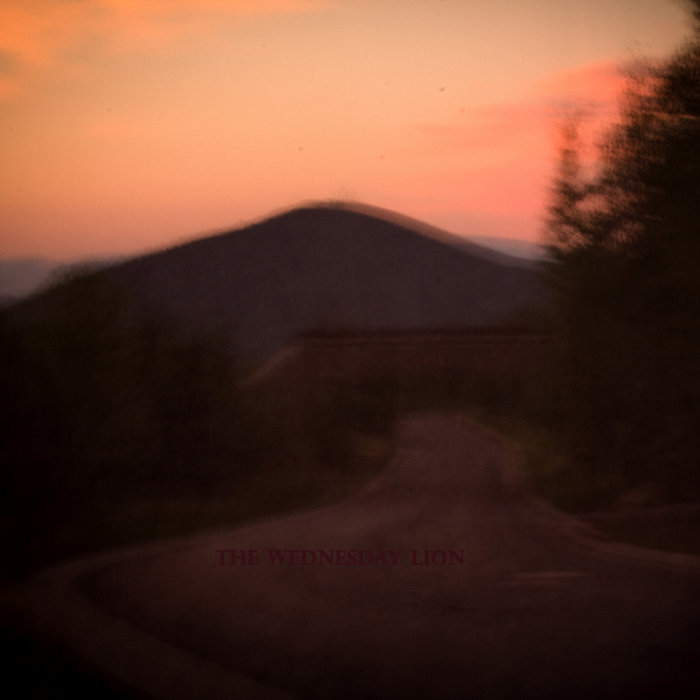 The Wednesday Lion | The Wednesday Lion