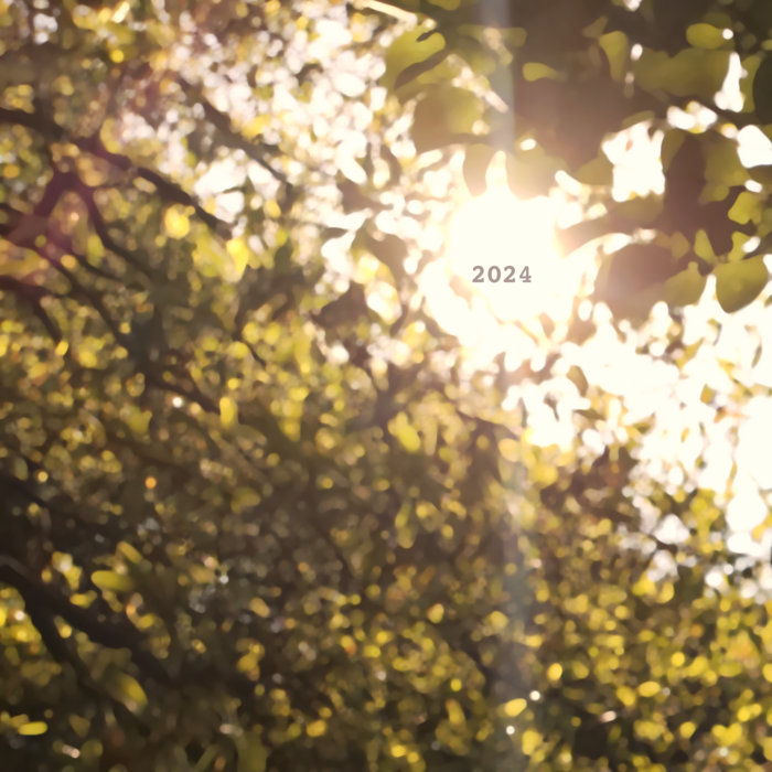 2024 | vivi mouse