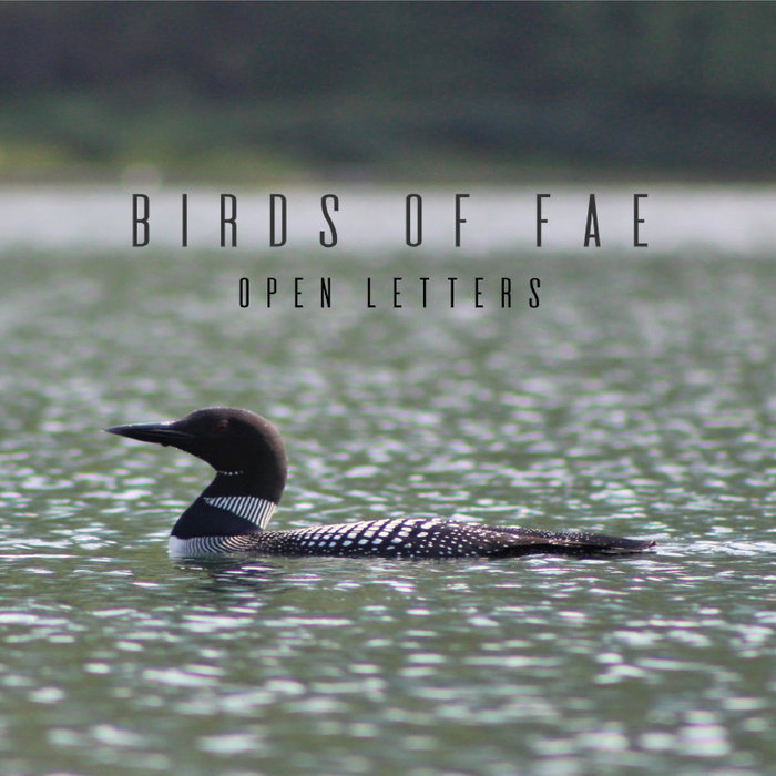 Open Letters | Birds of Fae
