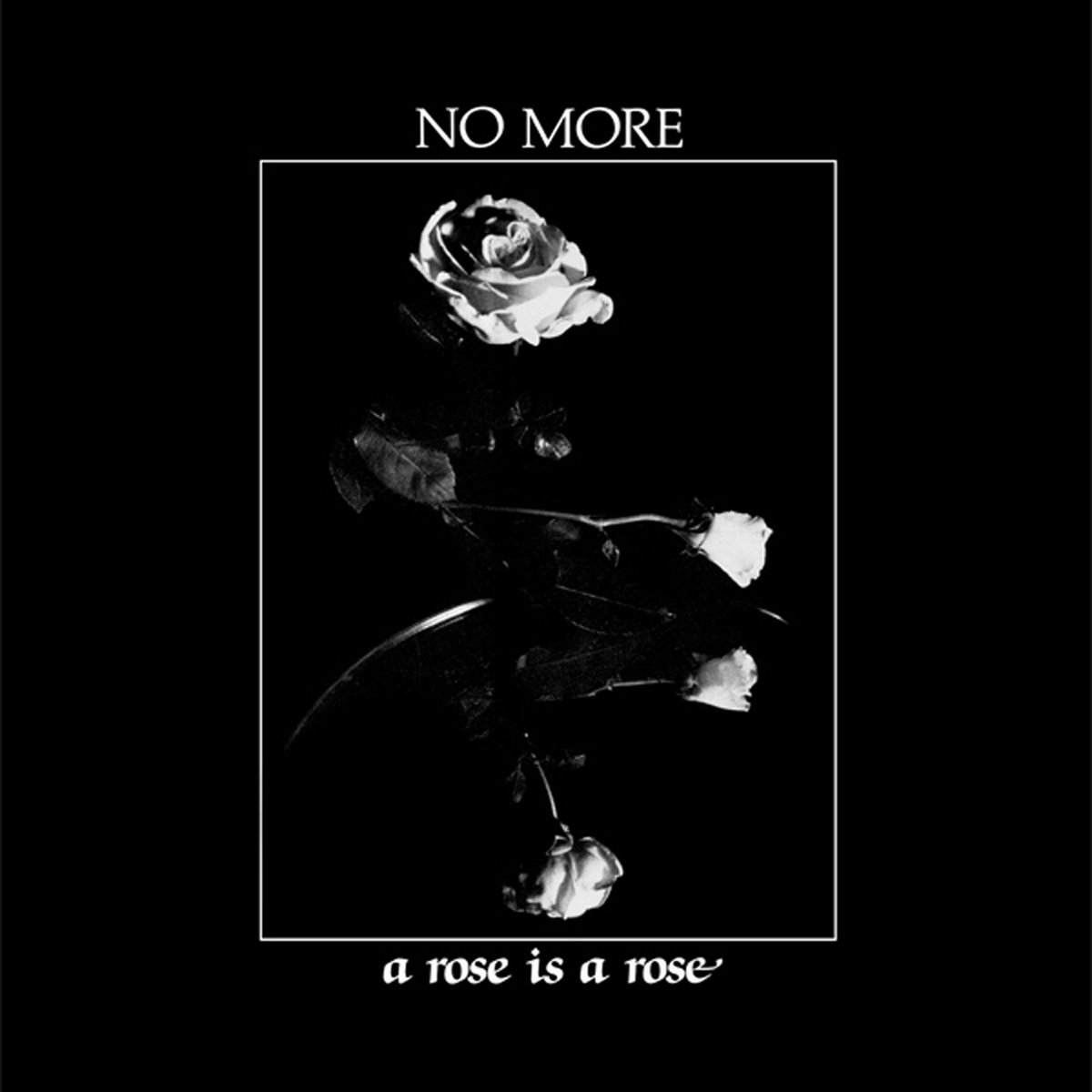 A Rose Is A Rose - 12" LP + 7" too late | NO MORE
