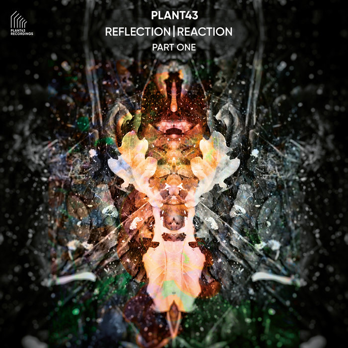 Reflection | Reaction - Part One | Plant43