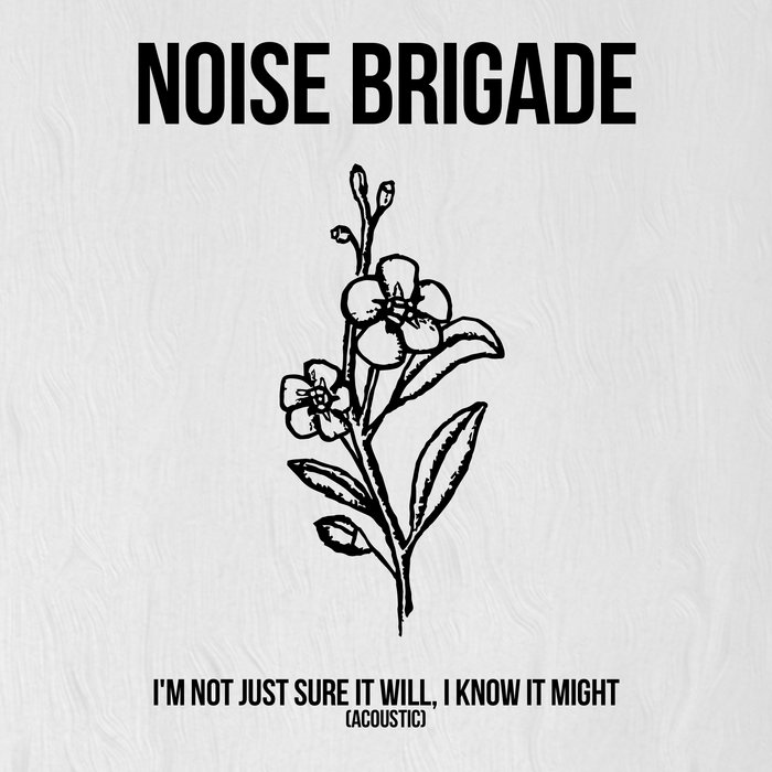 I'm Not Just Sure It Will, I Know It Might (Acoustic) | Noise Brigade
