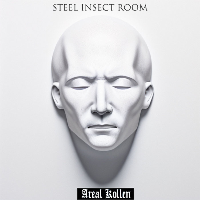 See Through | Areal Kollen