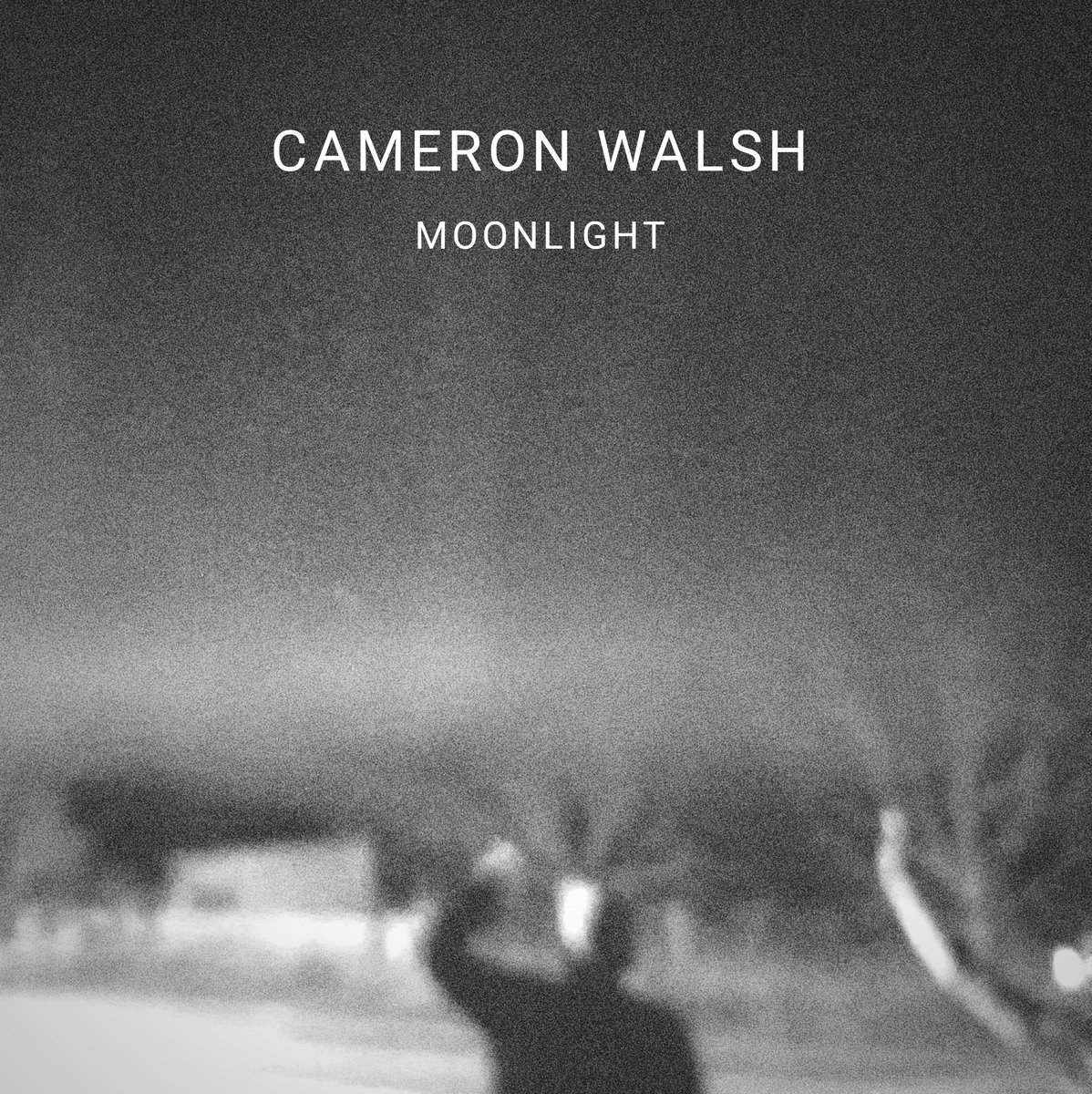 Moonlight | Cameron Walsh