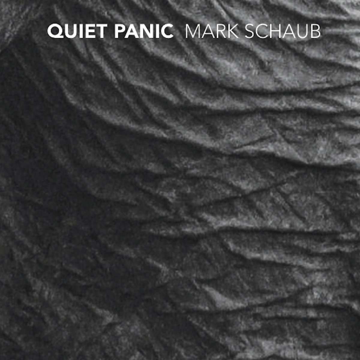 Quiet Panic | Mark Schaub | Anomala Soundscapes