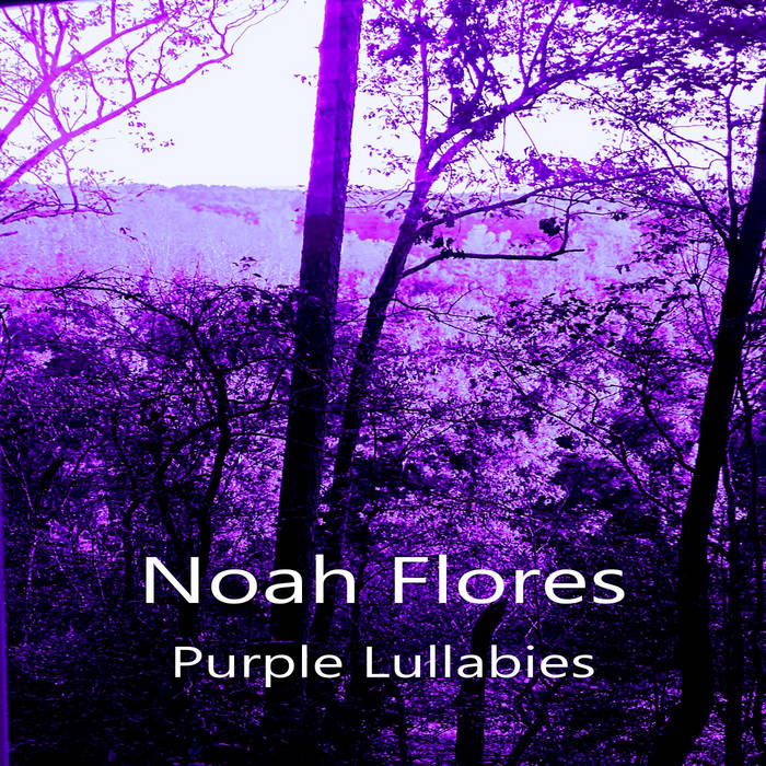 Purple Lullabies | Noah Flores