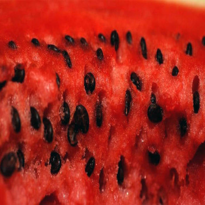 A Single Watermelon Seed